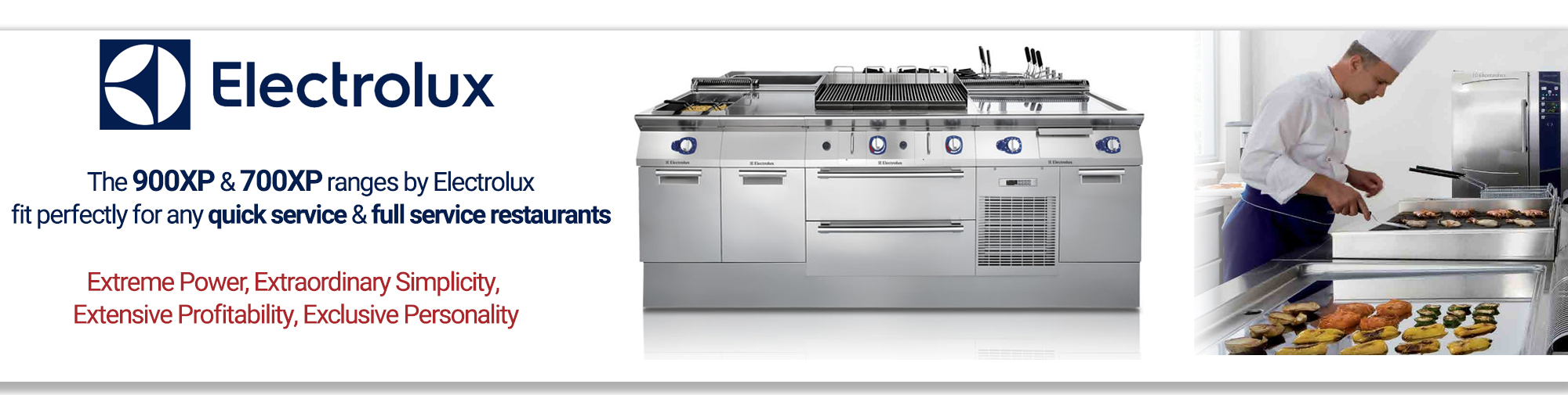 Modular Professional Cooking Ranges