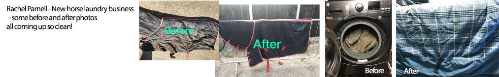 Cater Wash 18kg Equestrian Washing Machine | Caterkwik