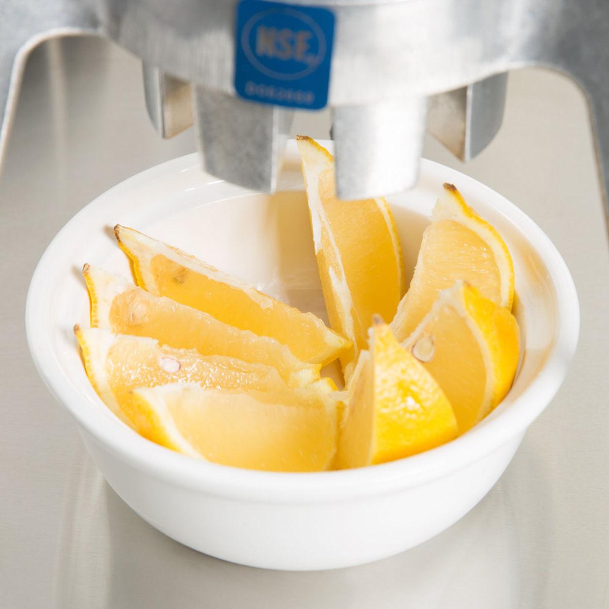 Vollrath Redco Wedgemaster II